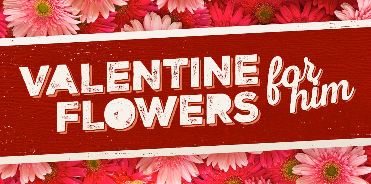Dare to Be Bold with Perfect Valentine's Day Blooms for Your Man - Just ...